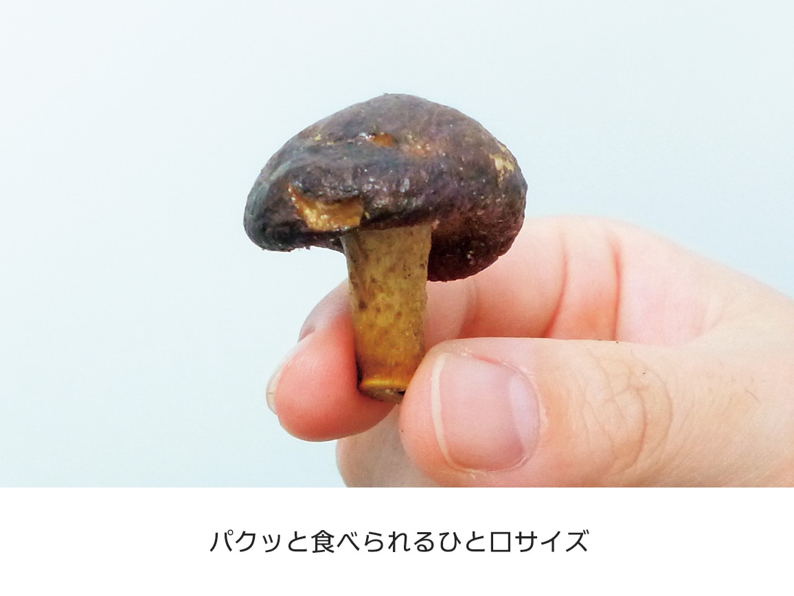 まるごと椎茸チップス（30g3袋）: ｜ カタログ通販のハルメク